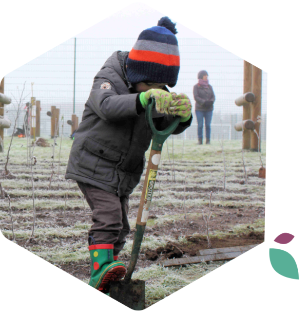 School Tree Planting Programme - Climate Education